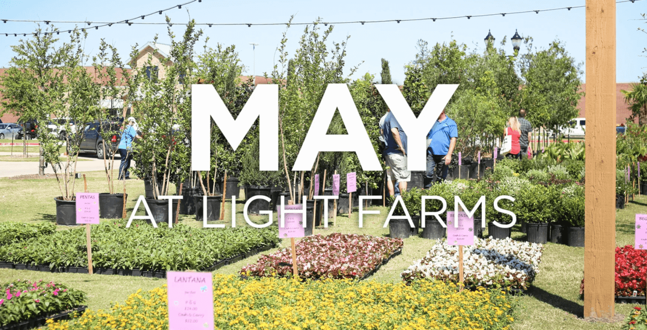 May at Light Farms! - Light Farms