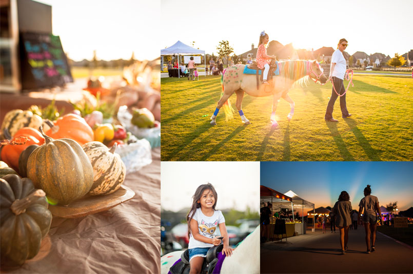 View the Incredible Pictures From Our Recent Night Market - Light Farms