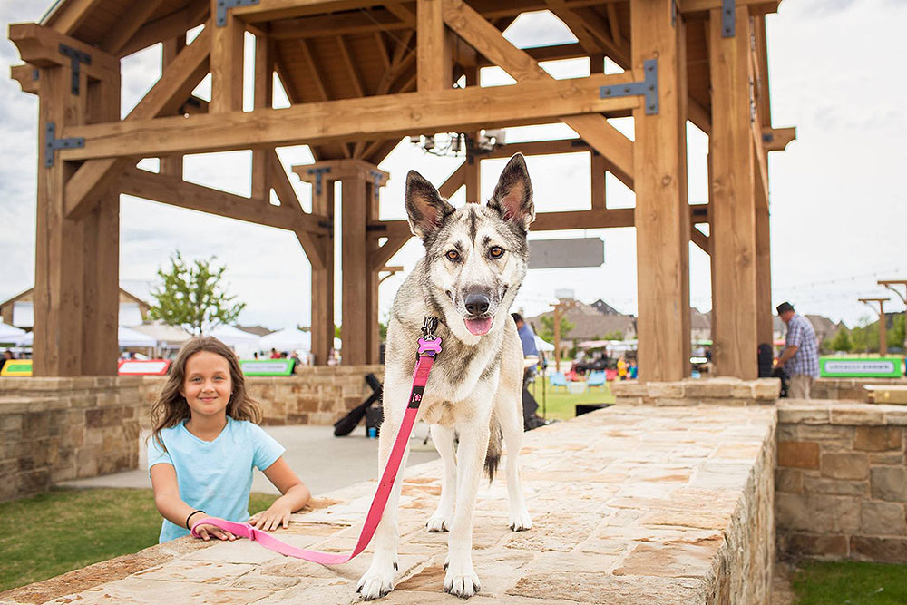 What Makes Light Farms a Pawsitively Pet-Friendly Community - Light Farms